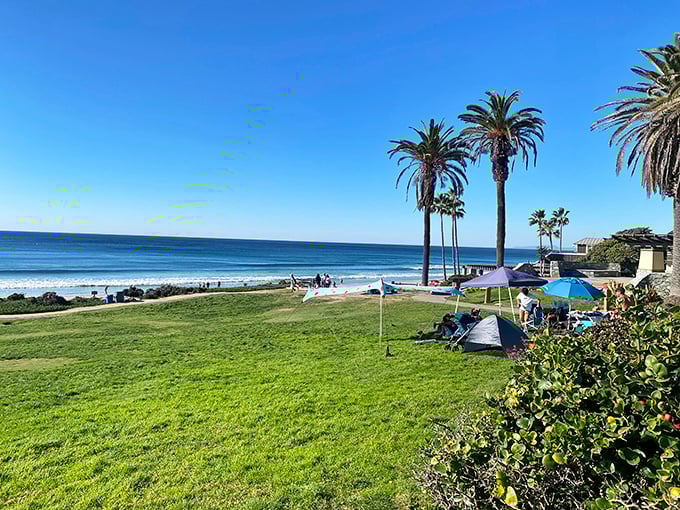 Powerhouse Park offers that quintessential California dream: palm trees, picnic-perfect grass, and waves that provide the soundtrack to your relaxation.