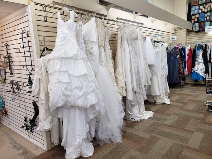 Wedding dress nirvana! These once-worn white gowns stand ready for their second walk down the aisle—something borrowed, something thrifted.