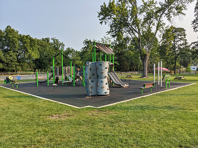 At Rady Park, childhood happens the old-fashioned way—outdoors, with actual climbing and sliding instead of swiping and scrolling.