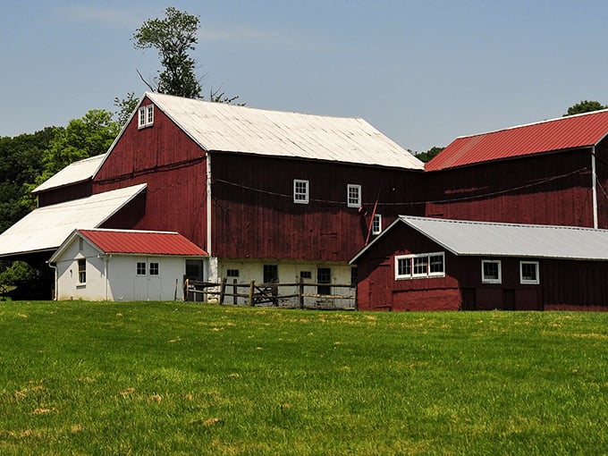 Red barns and rolling fields remind you why Pennsylvania postcards never go out of style.