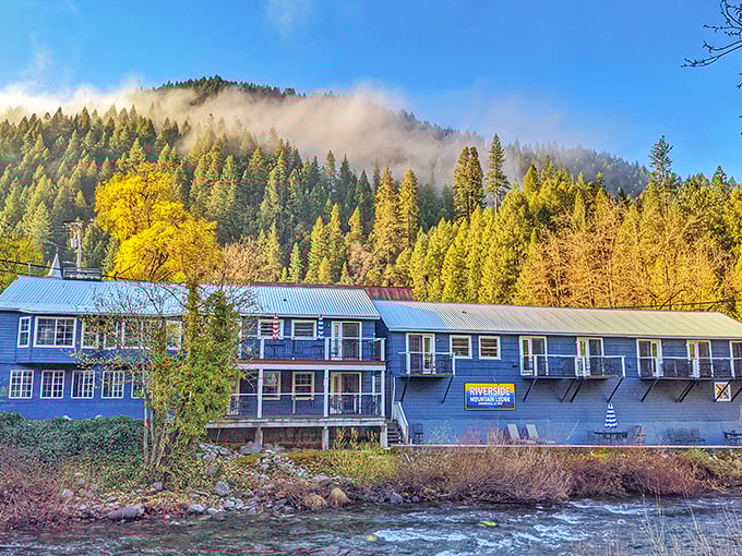The Riverside Mountain Lodge sits pretty against autumn-kissed mountains. When your hotel view rivals National Geographic covers, you know you've chosen well.