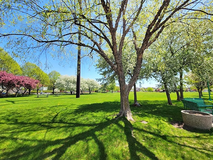 Spring explodes in Riverside Park, where flowering trees create a canvas of color against emerald lawns—nature's version of retirement bliss.