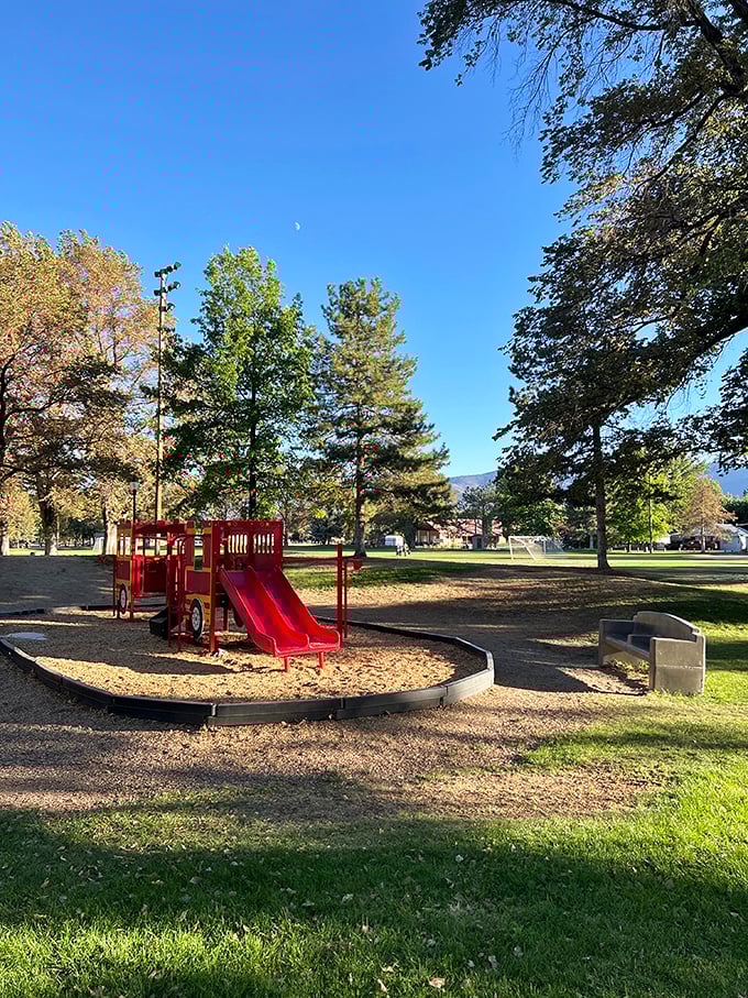 Red slides and swings under towering pines—Riverside Park offers that perfect blend of recreation and relaxation where grandkids can burn energy while you enjoy mountain views.