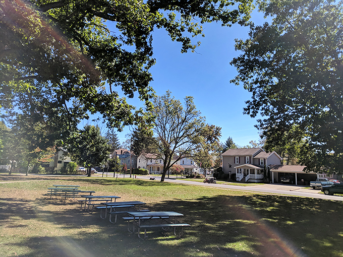 Picnic tables under a canopy of trees—nature's dining room where the only reservation required is the one you make with yourself to slow down.