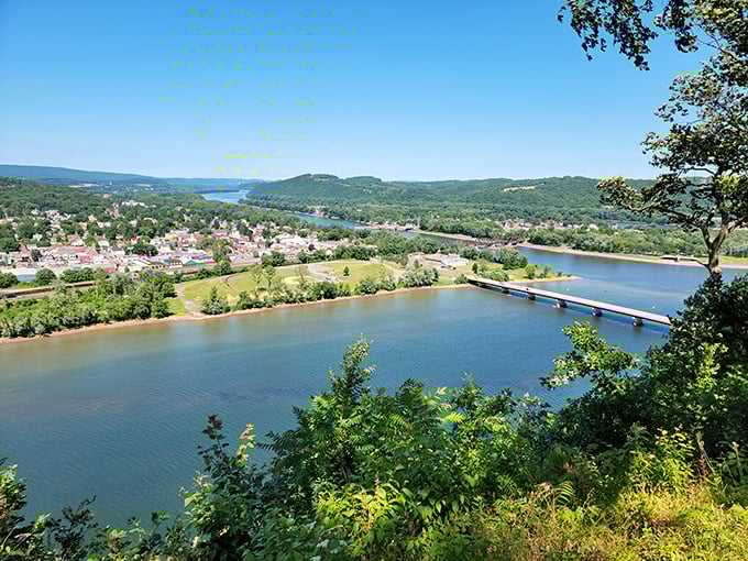 The Susquehanna River unfolds below like nature's screensaver. This panoramic view from Shikellamy Overlook reminds you why Pennsylvania's landscapes are priceless.