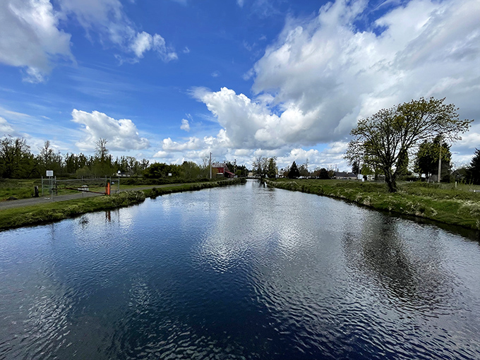 Where the river meets the park, magic happens – no admission fee, no velvet rope, just pure Oregon.