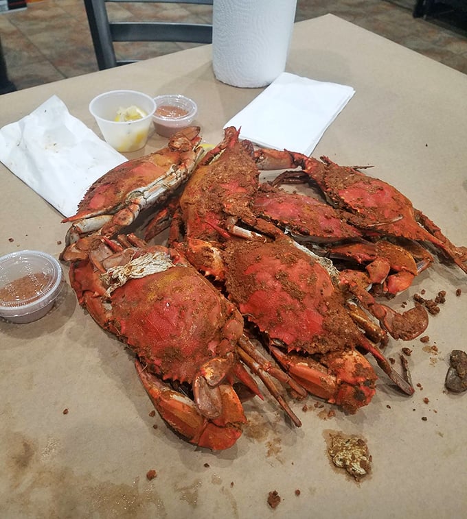 Behold the beautiful chaos of a proper crab feast – shells, claws, and pure Maryland magic everywhere.