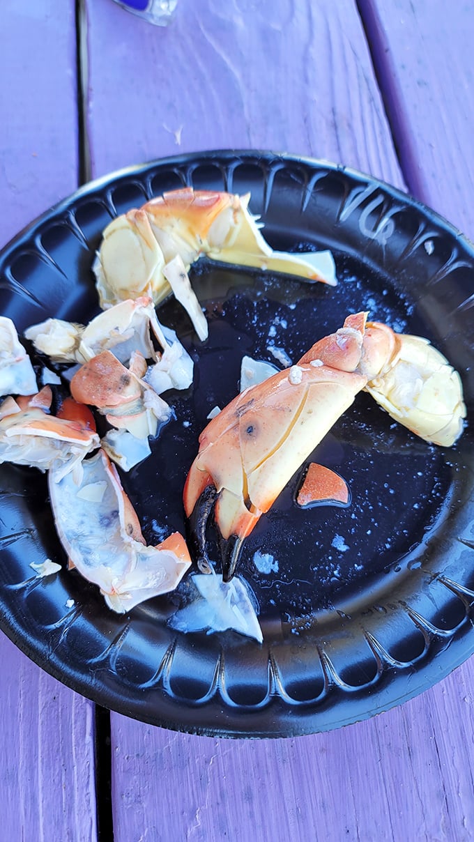 Stone crab claws arrive like edible treasure from Neptune's personal collection—worth every penny and every messy, buttery finger.