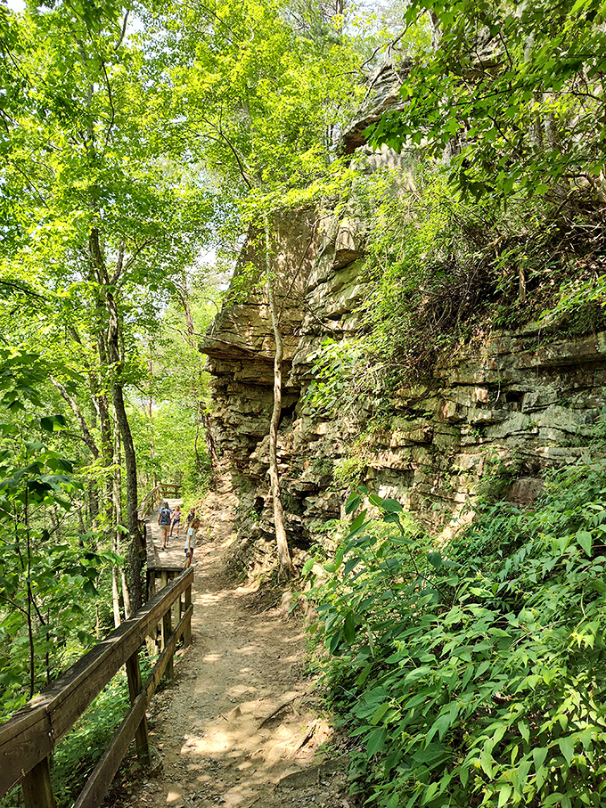 Walking between ancient rock walls feels like stepping into Earth's timeline. These stones have stories older than your grandparents' grandparents.