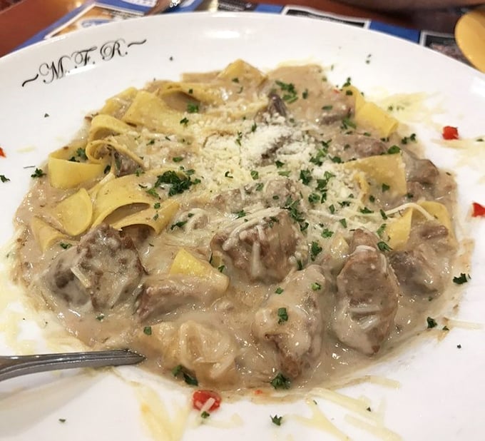 Behold the legendary stroganoff in all its glory—tender beef swimming in creamy sauce over perfectly cooked noodles. Comfort food that hugs your soul.