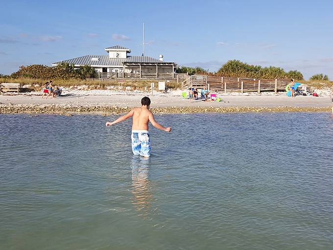 Crystal clear waters that stay shallow enough to wade in—nature's kiddie pool with a view that makes adults just as happy.