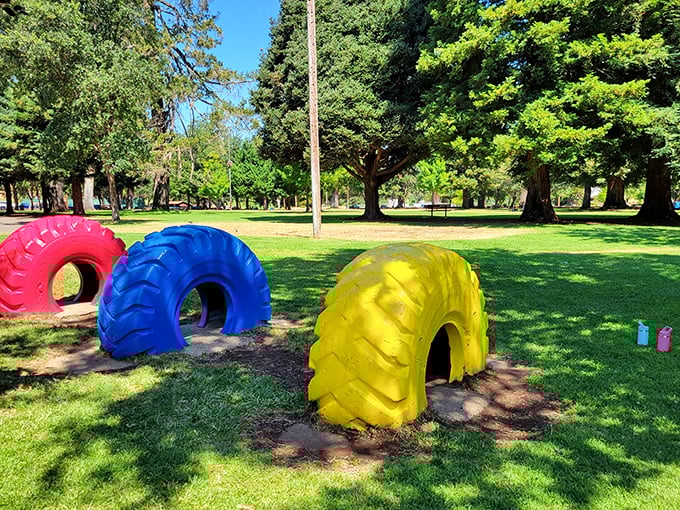 These colorful tractor tires aren't modern art—they're Todd Grove Park's playground equipment, proving fun doesn't need batteries or Wi-Fi to work properly.