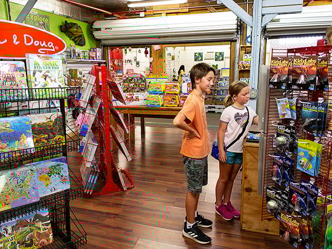 Childhood magic lives in every corner. Melissa & Doug puzzles and games promise screen-free entertainment that grandparents secretly enjoy more than kids.