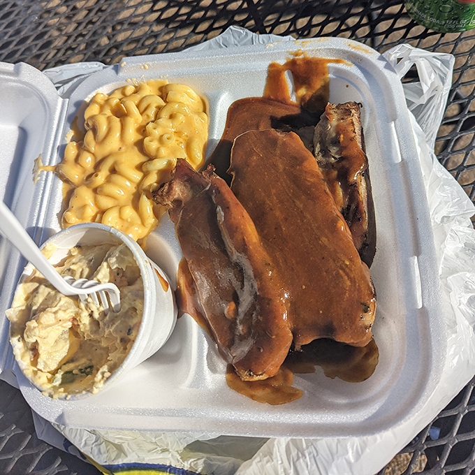 Turkey ribs – nature's culinary magic trick – glistening with sauce alongside creamy mac and cheese. Your shirt doesn't stand a chance.