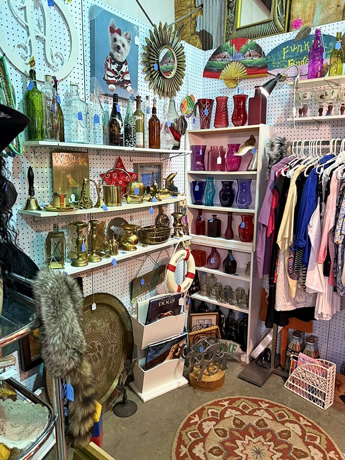 This isn't hoarding, it's curated chaos! From vintage glassware to quirky collectibles, this corner alone could furnish your "someday" beach house.