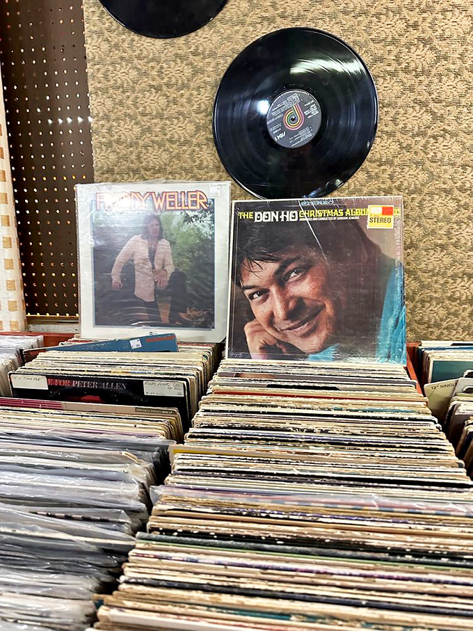 Vinyl heaven for music lovers! These records aren't just albums – they're time machines that play the soundtrack of someone's best memories.