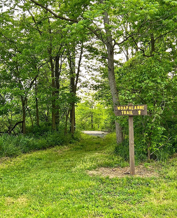 The Woapalanne Trail beckons with its wooden sign – nature's equivalent of "this way to happiness" with significantly fewer crowds than Disney.
