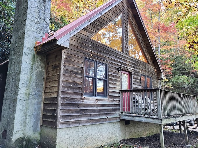 This rustic cabin nestled among fall foliage offers the quintessential mountain getaway – where "roughing it" still includes a proper roof and indoor plumbing.
