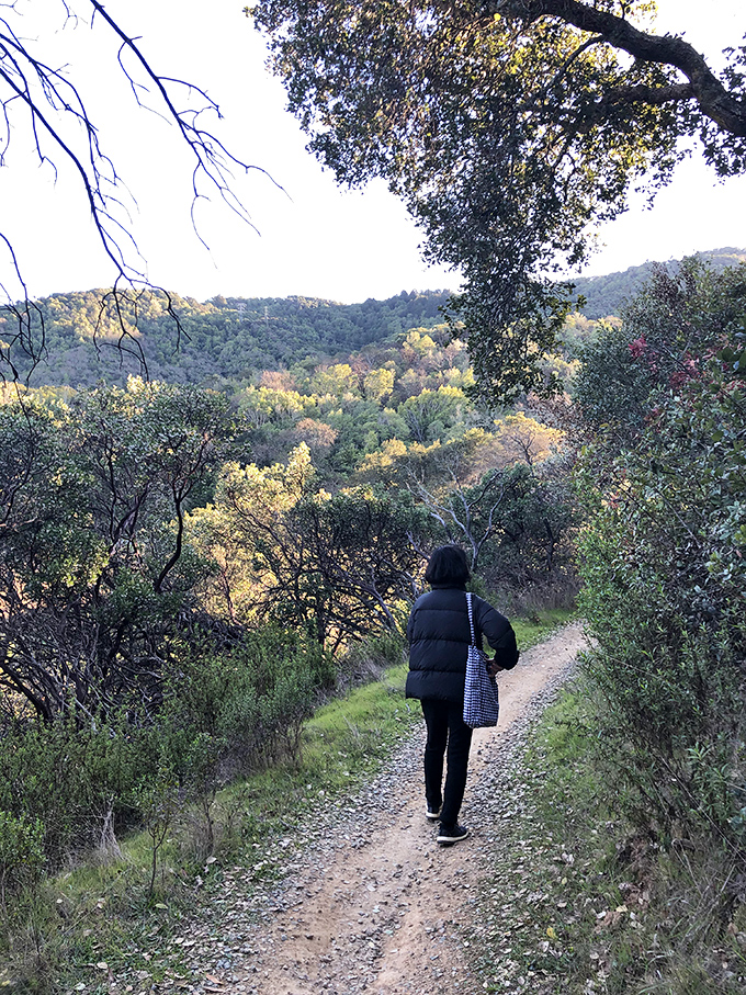 Walking these trails feels like stepping into a painting – one where you're allowed to touch the art and breathe the colors.