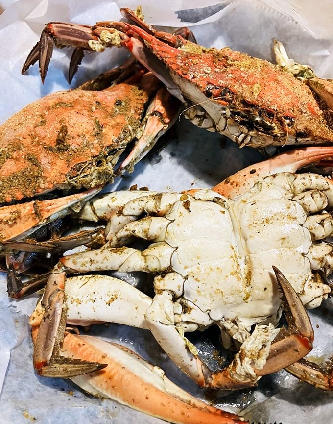 These seasoned blue crabs aren't just dinner; they're an interactive experience where every crack of the shell reveals sweet, succulent rewards.