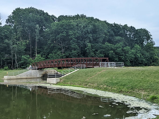 This isn't just a bridge—it's a portal between the world of deadlines and the realm of "what deadline?" Crossing recommended.