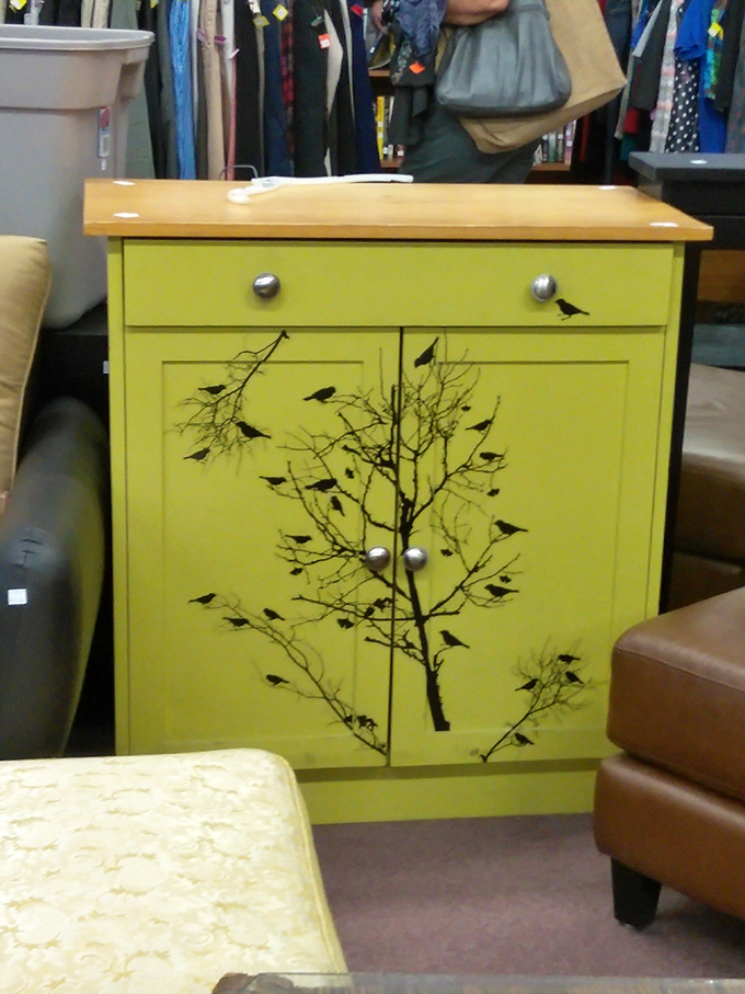 A lime-green cabinet adorned with birds perched on branches—someone's artistic upcycling project now awaits its second chapter.