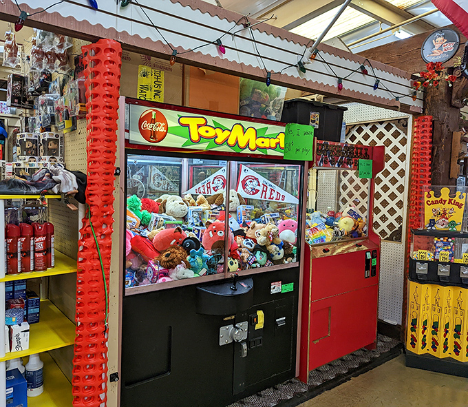 The classic claw machine – where hope springs eternal and stuffed animals taunt you with their seemingly attainable cuteness.
