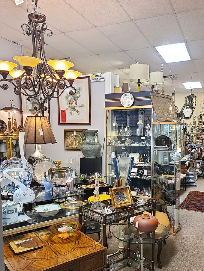 Wrought iron chandeliers cast golden light over treasures that have stories older than your favorite sitcom.