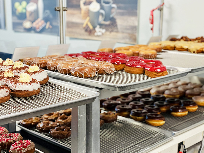 Donut heaven exists, and it looks exactly like this—rows of glazed perfection waiting to make your day exponentially better.