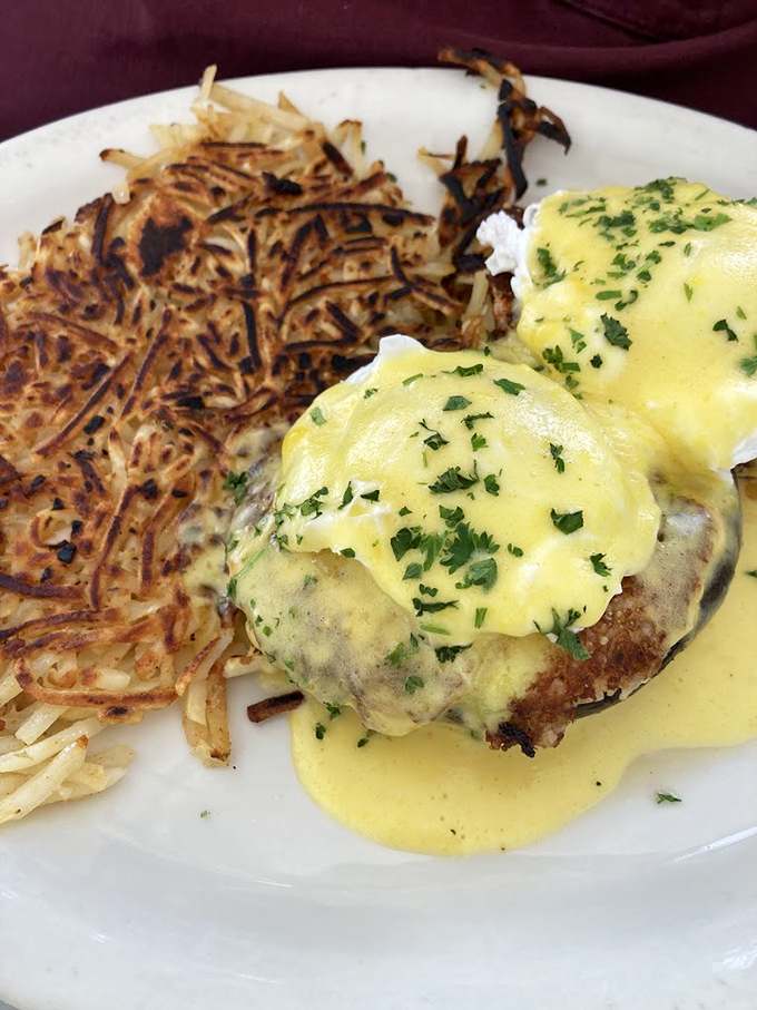 Behold the legendary Eggs Benedict that launches thousand-mile road trips. That hollandaise sauce—sunshine-yellow and velvety—cascades over perfectly poached eggs like a breakfast waterfall.