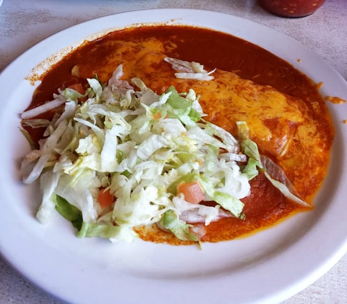 Enchiladas bathed in vibrant red sauce with a mountain of fresh lettuce – this isn't just food, it's edible artwork that tastes even better than it looks.