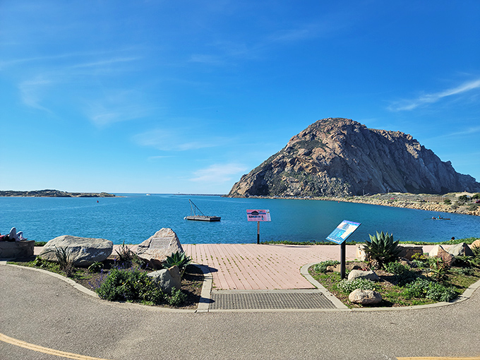 Morro Rock stands like nature's monument against the blue canvas of sky and sea, making every visitor feel delightfully insignificant.