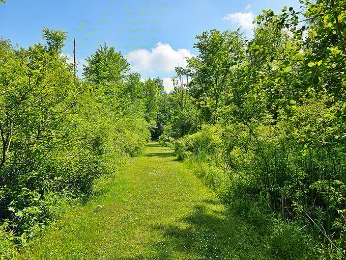 Nature's hallway: this verdant trail practically begs you to wander down it. No gym membership required for this kind of therapy.