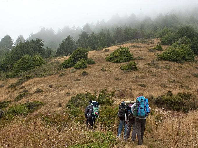 Hiking through Sinkyone's misty hills feels like stepping into a fantasy novel—minus the dragons, but with 100% more breathtaking coastal views.