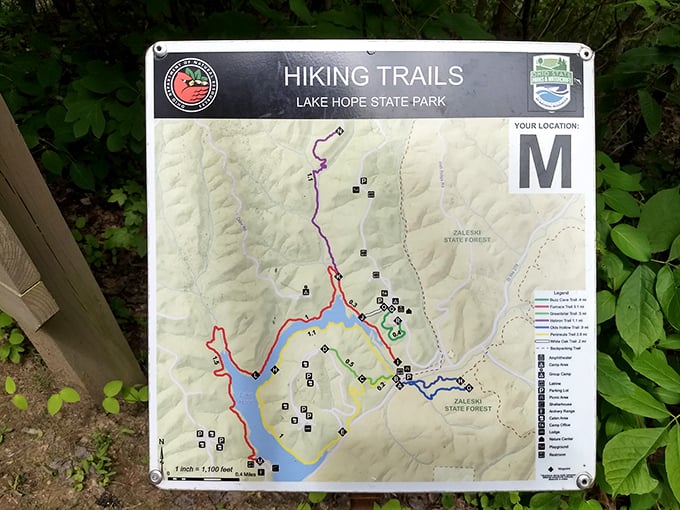 Hiking options galore! Like a menu of nature's finest offerings, this trail map lets you choose your own adventure.