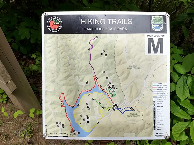 Hiking options galore! Like a menu of nature's finest offerings, this trail map lets you choose your own adventure.
