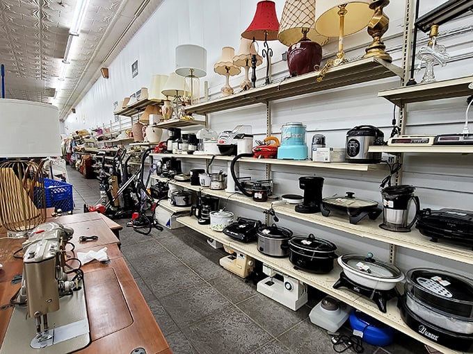 The small appliance section: where forgotten kitchen gadgets and vintage lamps await their second act in your home, all priced less than a fancy coffee.