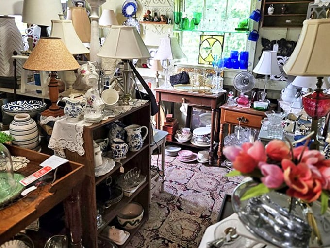 A collector's paradise where every teacup and lamp has outlived its original owner, patiently waiting for someone new to appreciate its charm.