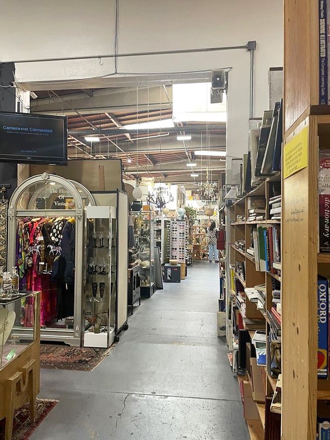 Every aisle tells a different story, with glass cases protecting delicate memories from decades past.