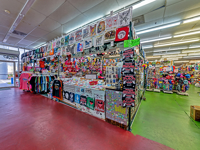A kaleidoscope of pop culture memorabilia and colorful merchandise transforms ordinary shopping into a treasure hunt for the discerning bargain seeker.