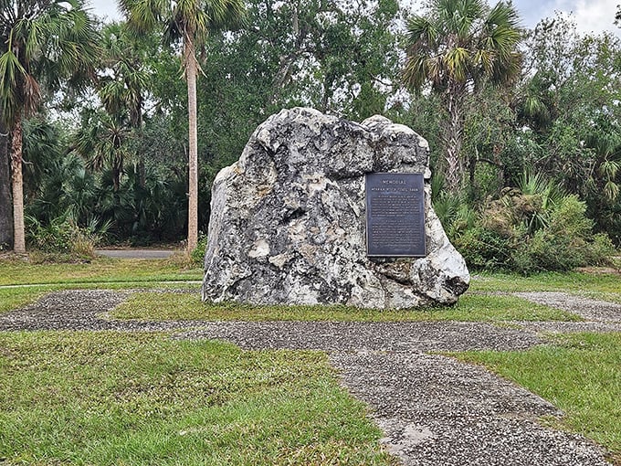 History set in stone—literally. This memorial rock stands as a silent sentinel, reminding visitors they're walking through pages of Florida's natural history book.