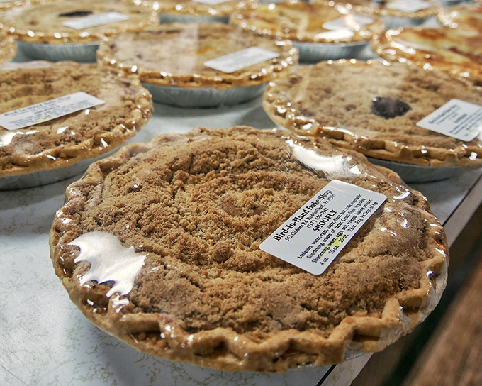 These shoofly pies aren't just desserts—they're edible Pennsylvania history. One bite and you'll understand why locals have treasured this molasses magic for generations.