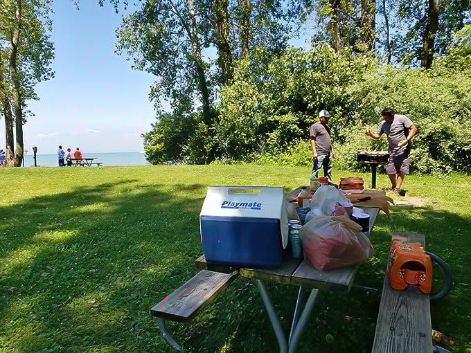 Picnic perfection awaits with Lake Erie providing the million-dollar view that no restaurant reservation could ever match.