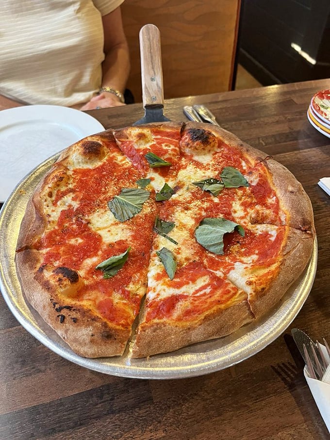 Pizza perfection isn't just a phrase here—it's this Margherita with its leopard-spotted crust, molten cheese, and basil leaves performing their aromatic magic.
