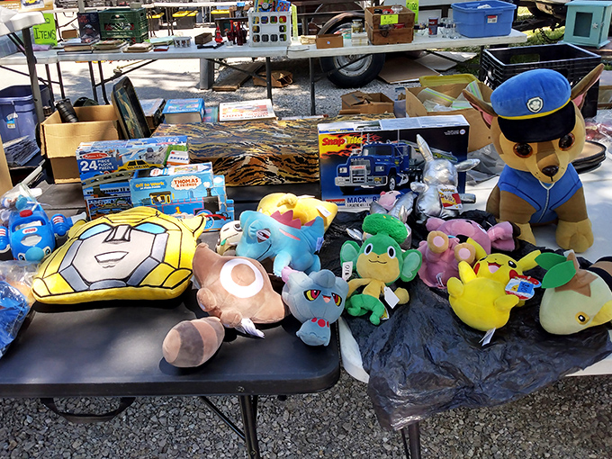 Childhood memories come flooding back when you spot these cuddly companions searching for new homes and hugs.