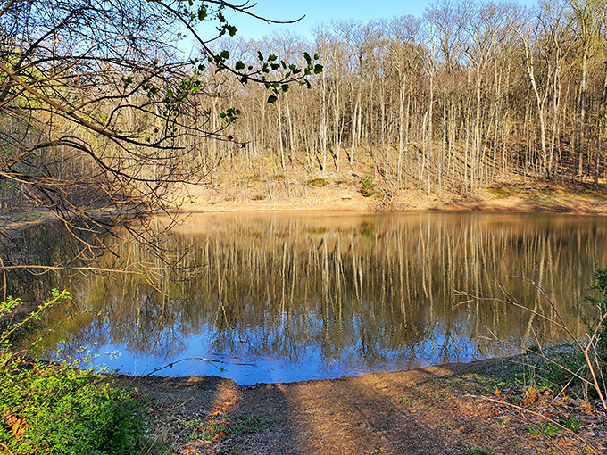 This tranquil pond reflects the surrounding forest like nature's own Instagram filter – no technology required, just patient observation.