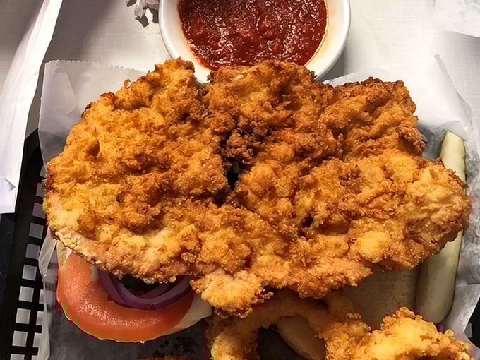 Behold the Indiana state sandwich in its natural habitat! This breaded pork tenderloin refuses to acknowledge the boundaries of its bun—a delicious act of rebellion.
