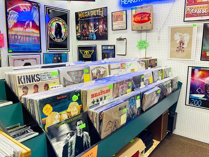 Vinyl heaven for music lovers! From Led Zeppelin to The Beatles, these records aren't just albums—they're time machines disguised as circular pieces of nostalgia.