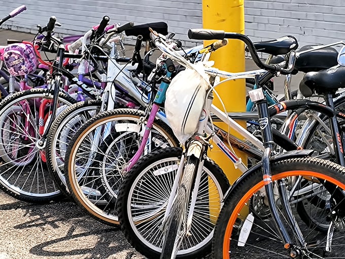 Bicycle heaven! From vintage cruisers to modern mountain bikes, these wheels are just waiting for their second wind down Pittsburgh's scenic trails.