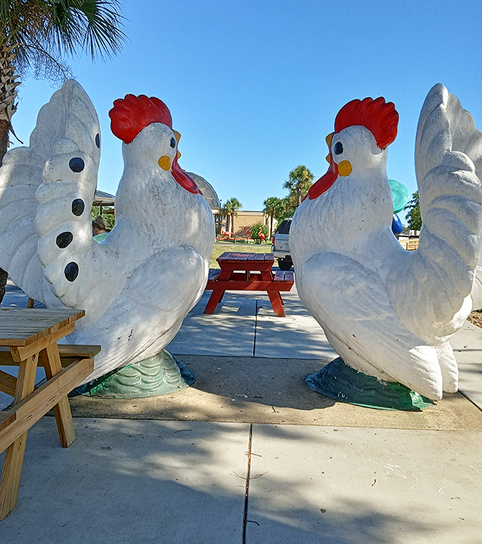 These concrete chickens strut their stuff year-round, proving that some birds never fly south for winter.